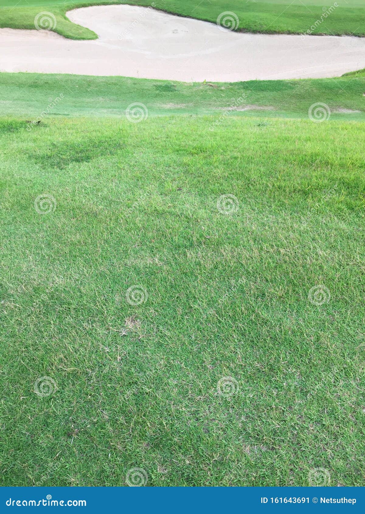 Sand and Rough Green Grass from Golf Ground Stock Image - Image of ...