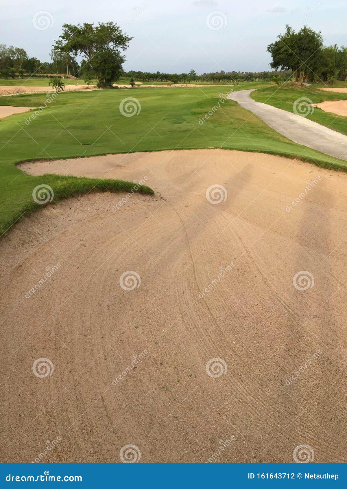 Sand and Rough Green Grass from Golf Ground Stock Photo - Image of ...