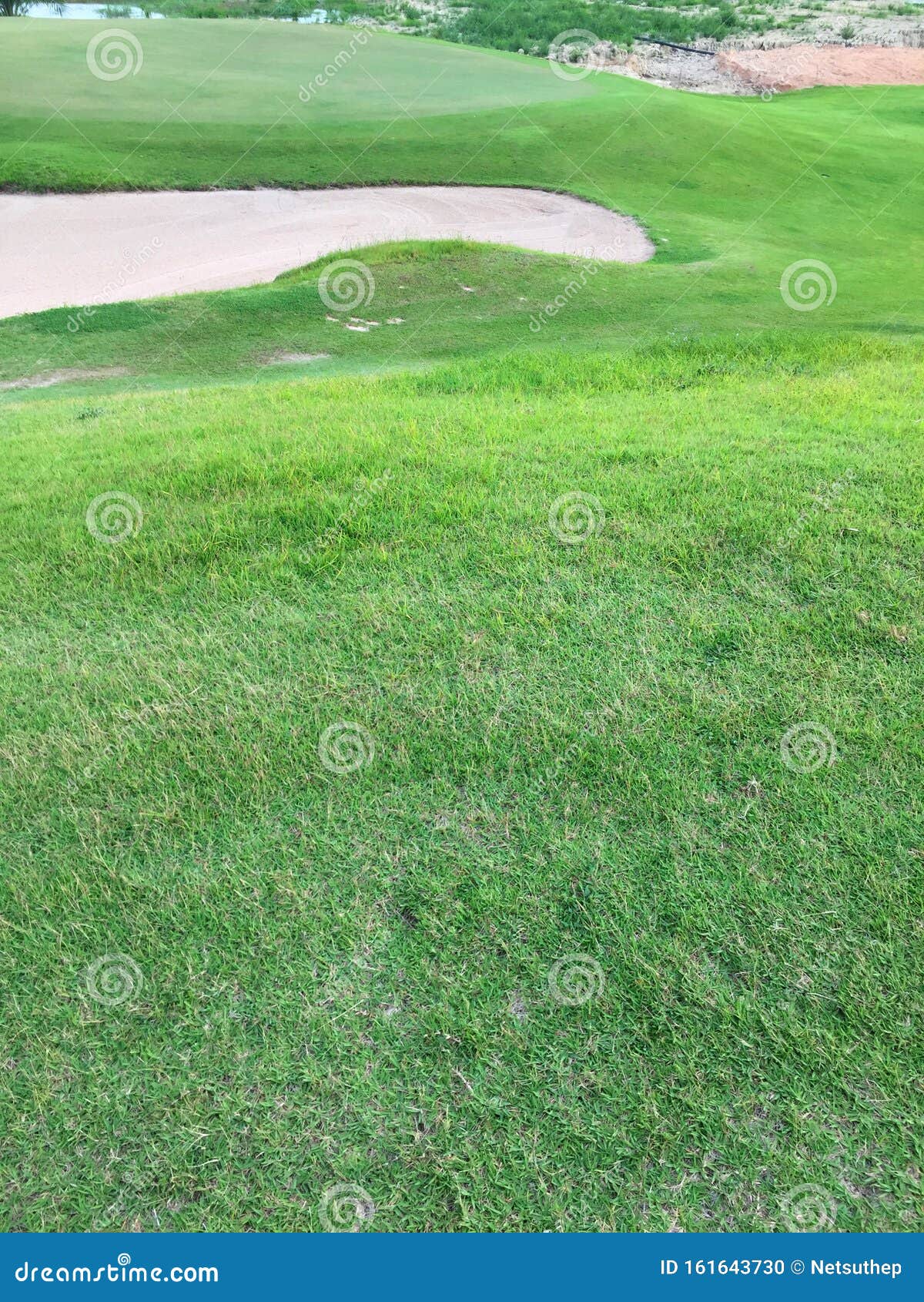 Sand and Rough Green Grass from Golf Ground Stock Photo - Image of ...