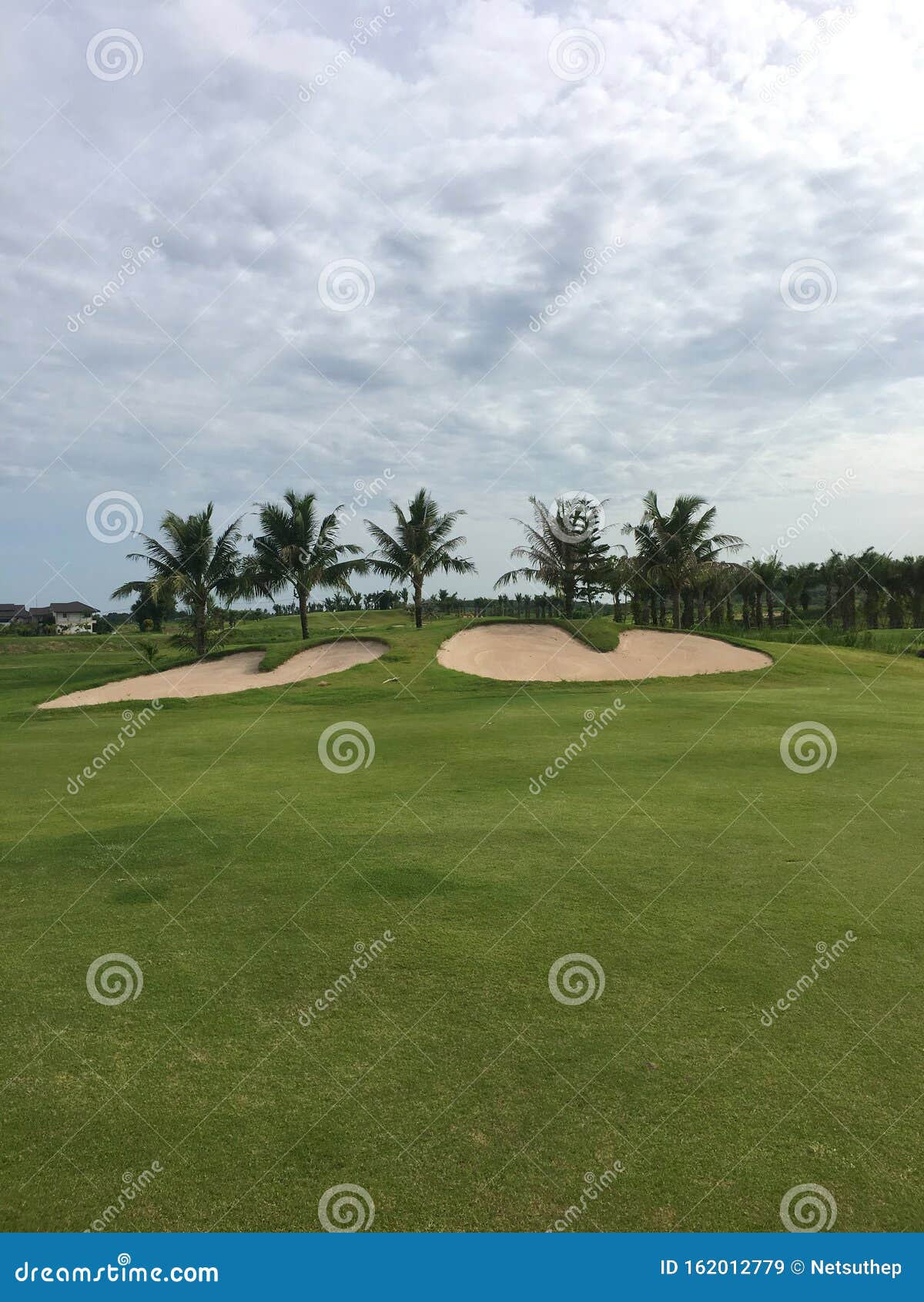 Sand and Rough Green Grass from Golf Ground Stock Image - Image of game ...