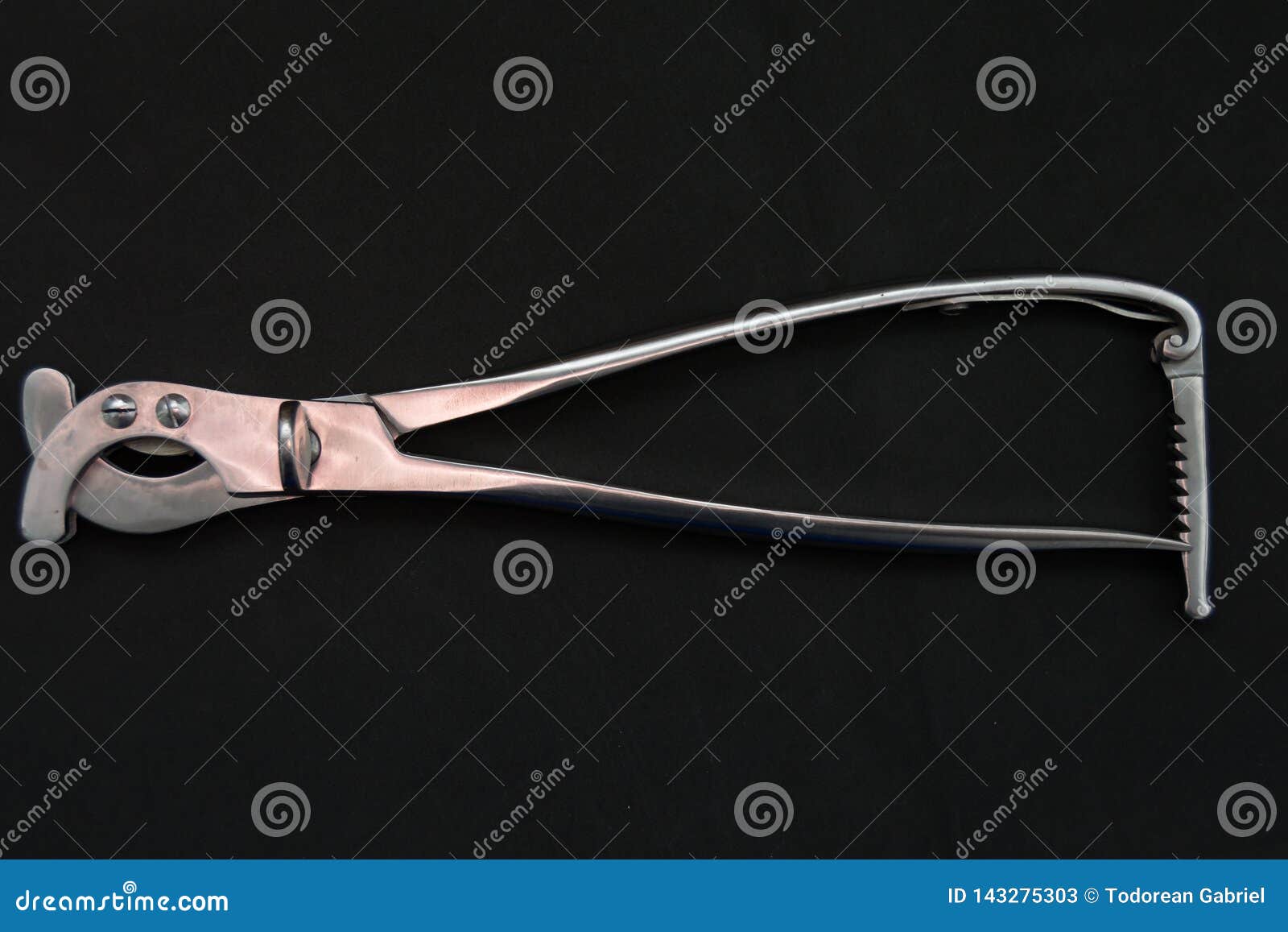 SAND`S Castrator Emasculator Veterinary Instruments Stock Image - Image ...