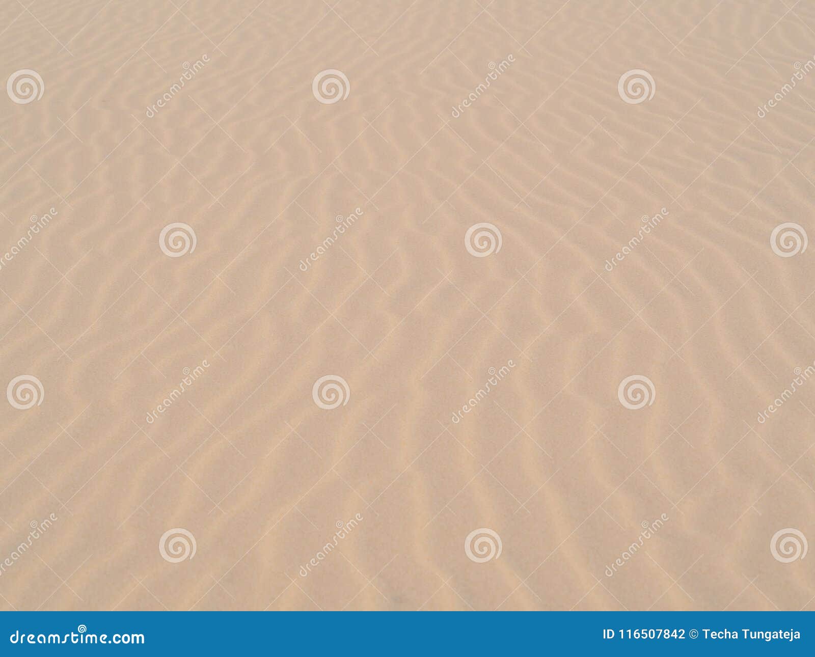 Sand Scape stock photo. Image of summer, golden, space - 116507842