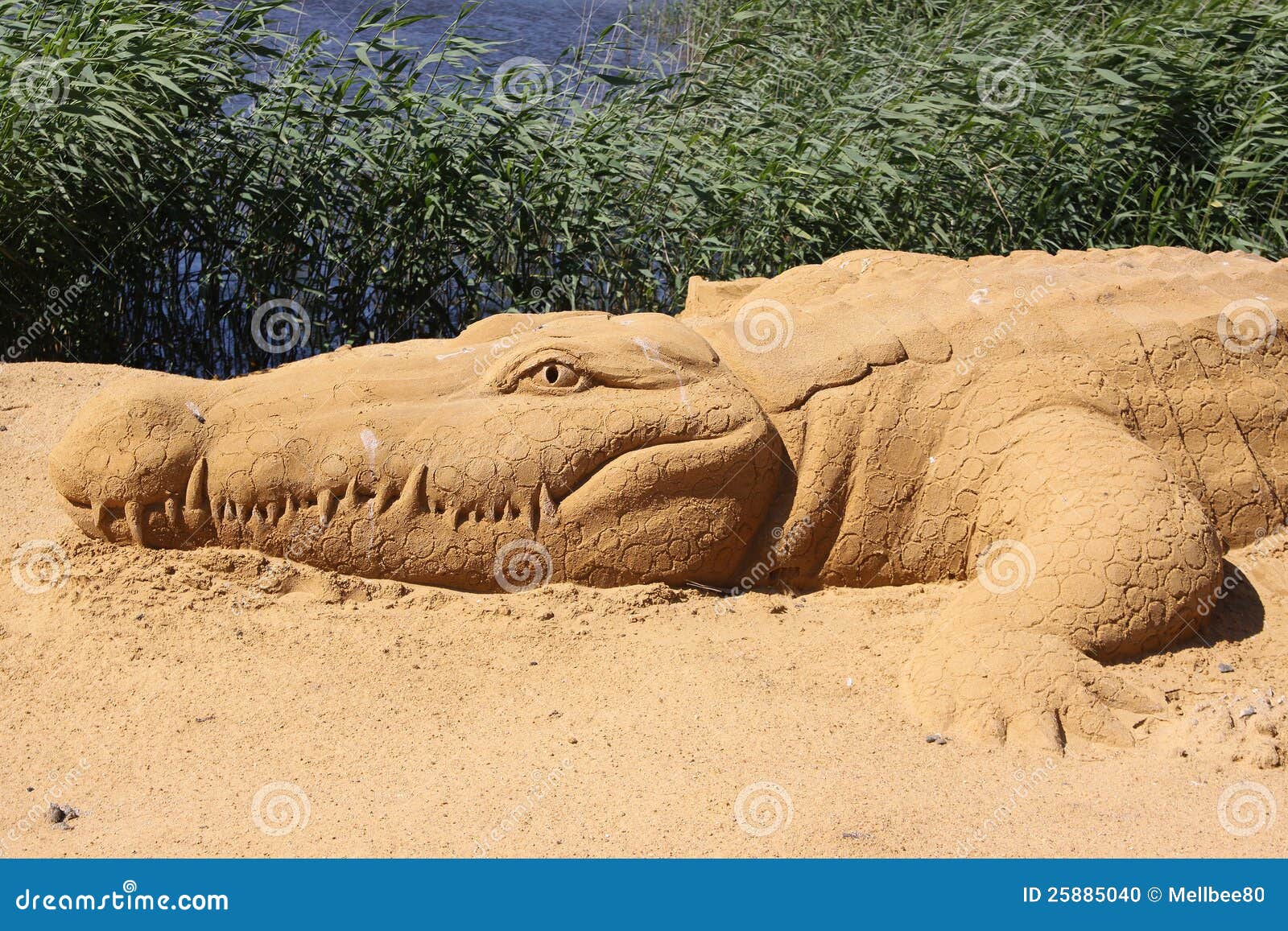 Sand sculpture alligator editorial image. Image of international - 25885040