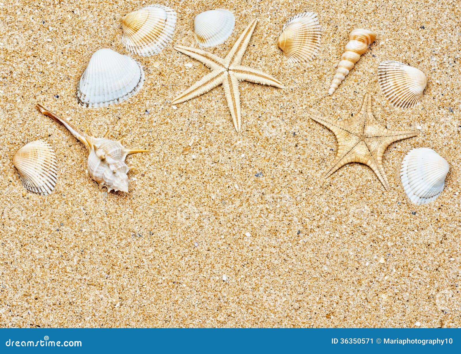 Sea Shells And Sand Wallpaper. Summer Border Top View On Beige With ...
