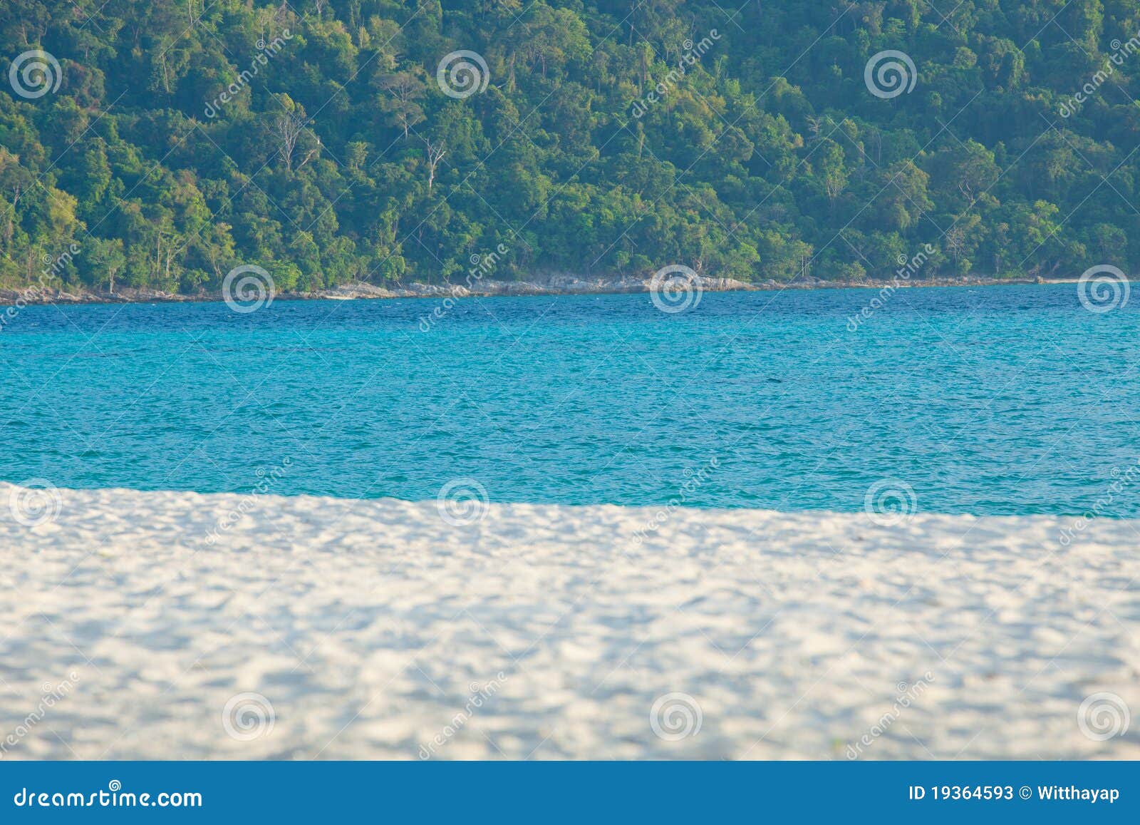 Sand sea and tree stock image. Image of sand, beautiful - 19364593
