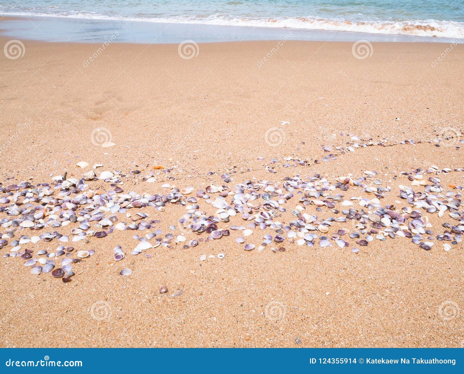 Sand , Seashell and Sea Wave Stock Photo - Image of ground, grit: 124355914