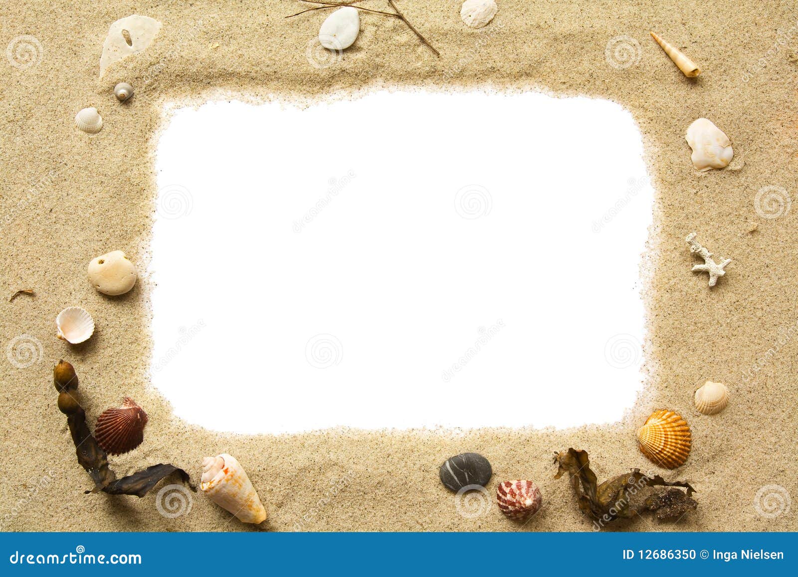 Sand and seashells frame stock photo. Image of nature - 12686350