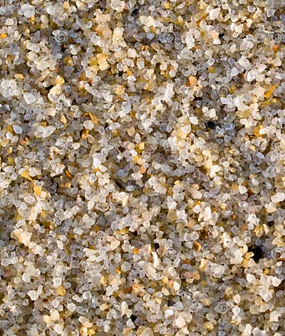 Sand on the Seashore stock photo. Image of macro, seashore - 5660282