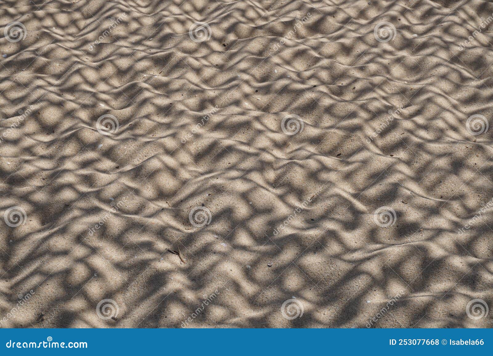 Sand Shaded with Shade Netting on Beach Stock Photo - Image of close ...