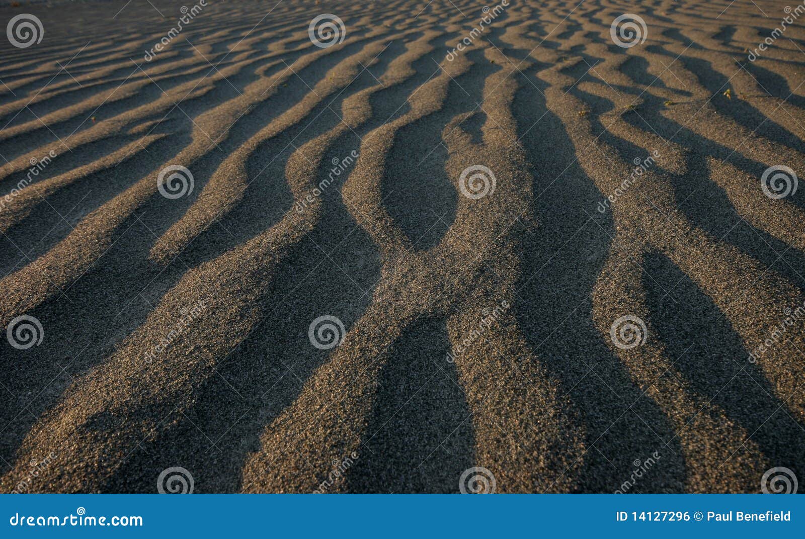 Sand Shadows stock photo. Image of backgrounds, nature - 14127296