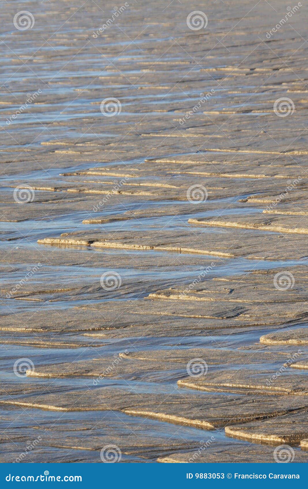Sand and shallow water stock image. Image of shallow, blue - 9883053