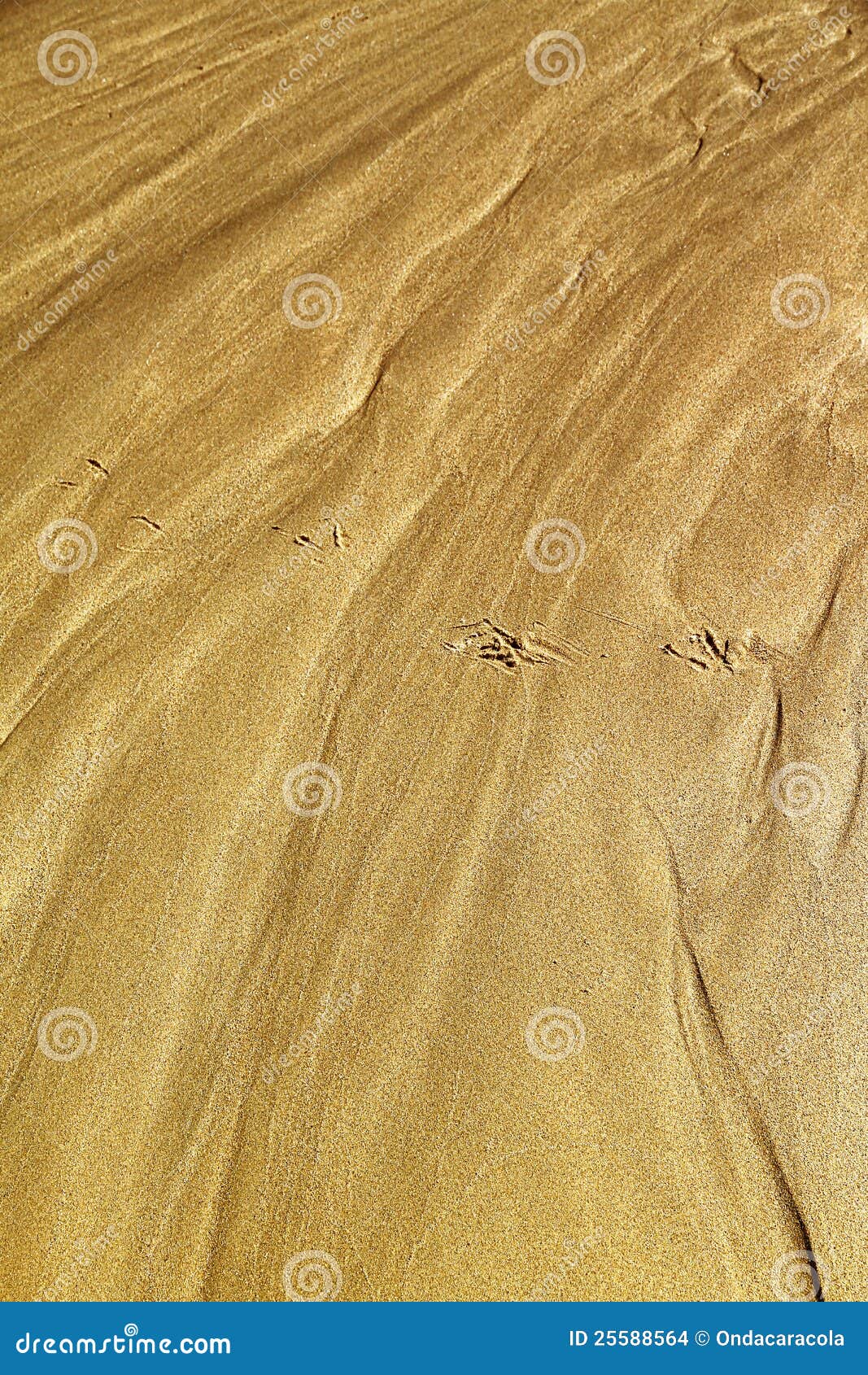 Sand shape stock photo. Image of grain, geology, nature - 25588564
