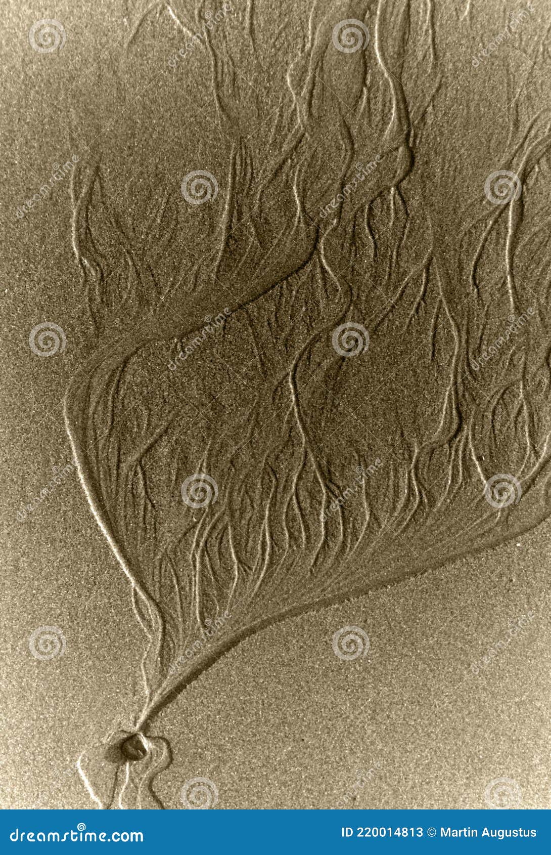 Water Patterns in Sand in Monochrome Stock Image - Image of originally ...