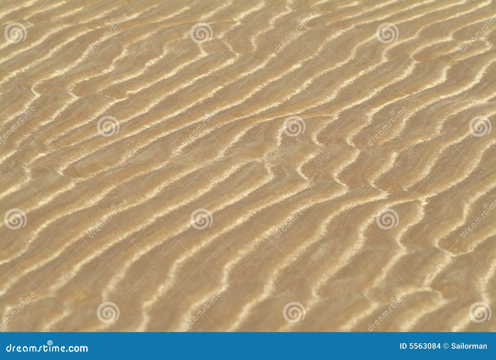 Sand shapes in a beach stock photo. Image of ripples, shapes - 5563084