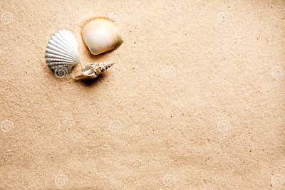 Sand Shell Background stock image. Image of space, background - 6319073