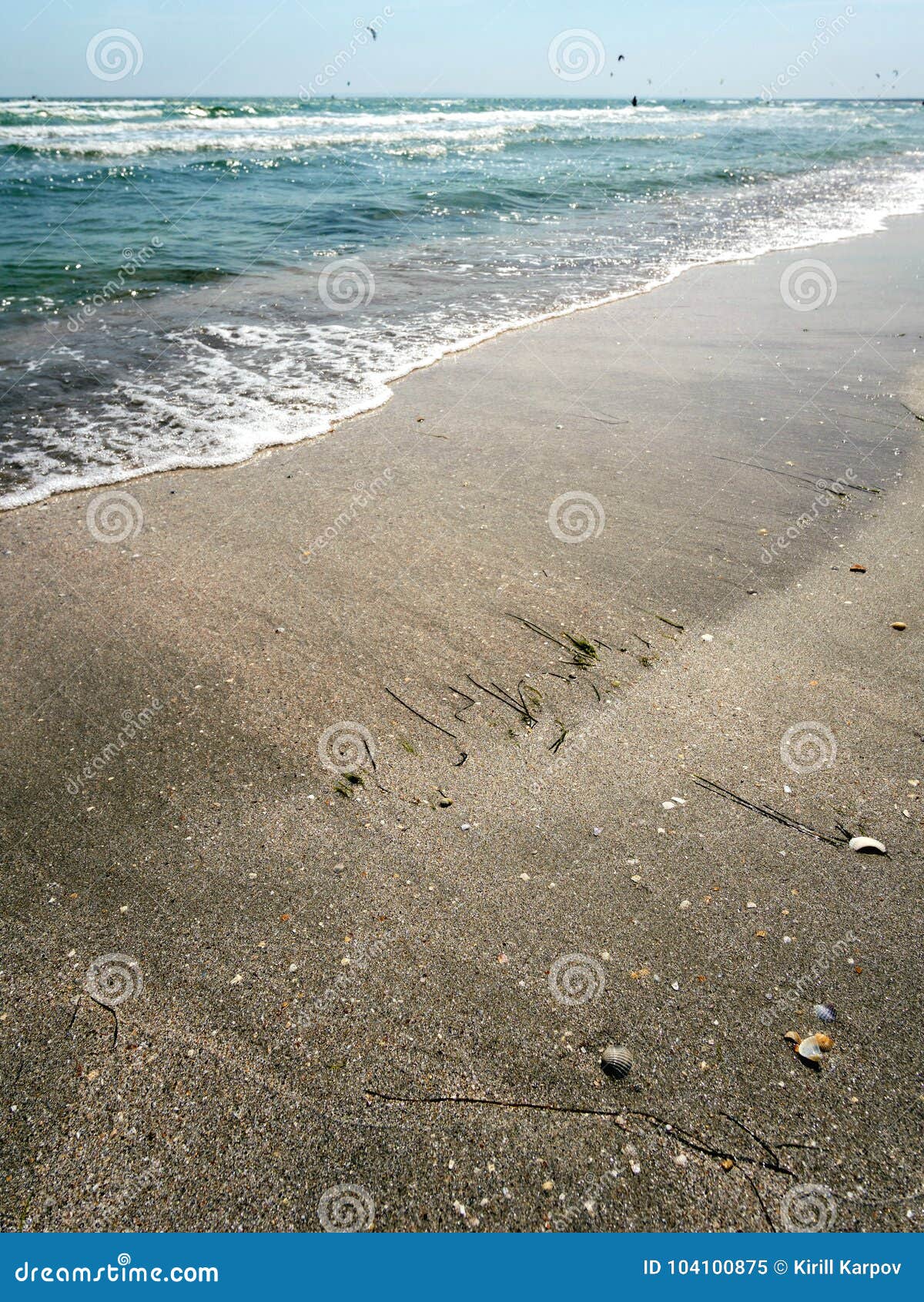 Sand and Shell Covered Beach Shore Stock Image - Image of water, pieces ...