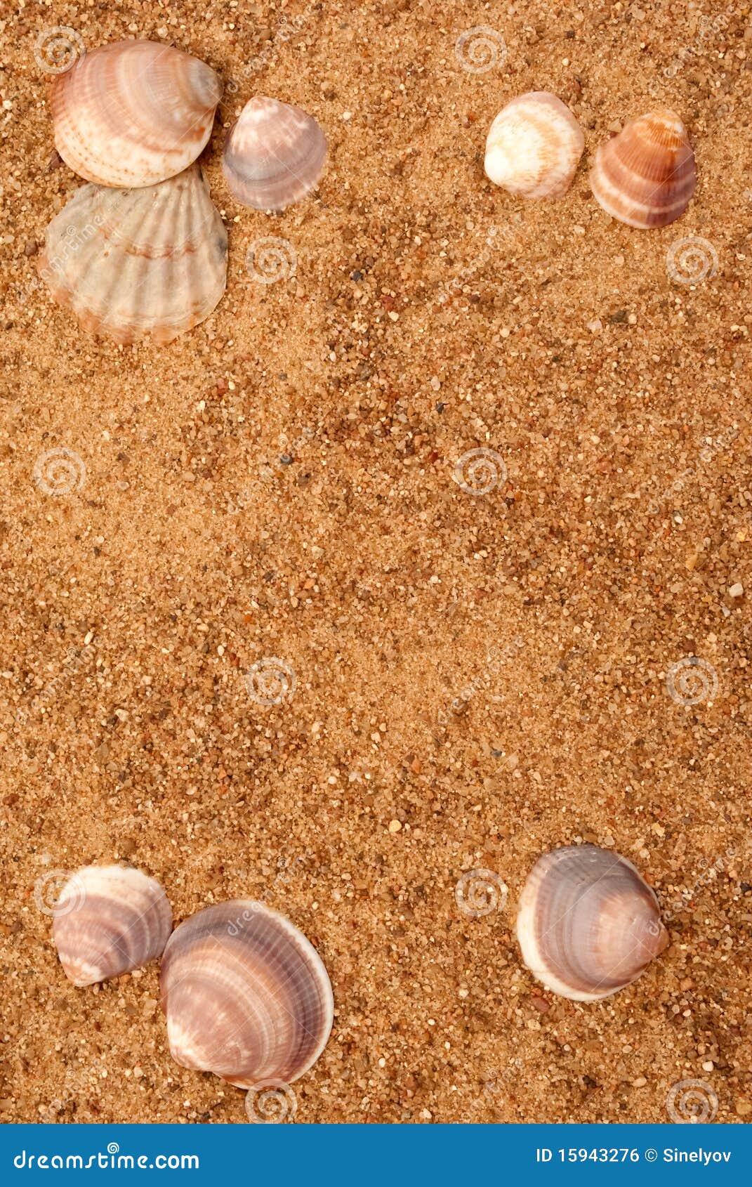 Sand and shell frame stock photo. Image of page, frame - 15943276