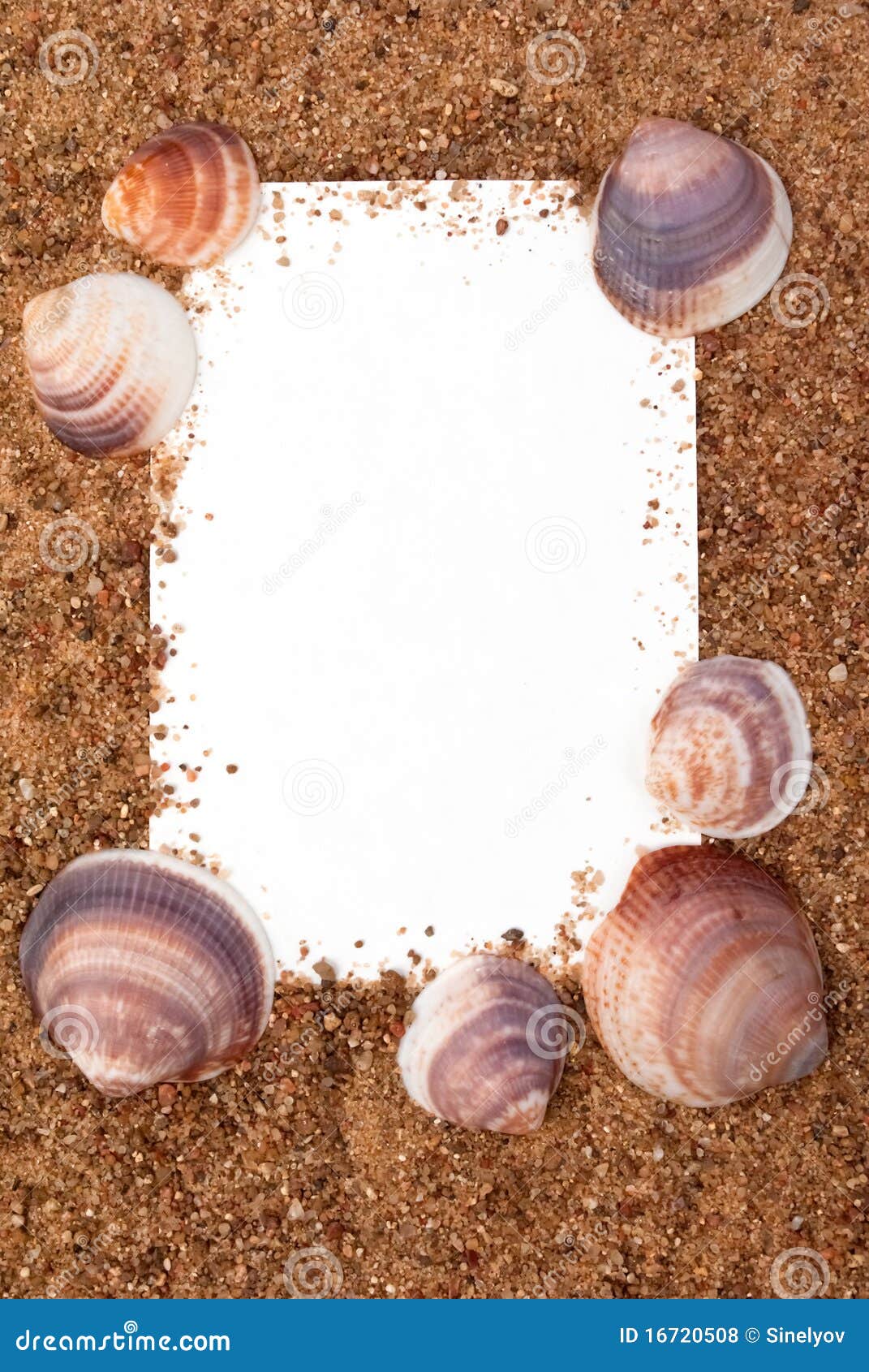 Sand and shell frame stock photo. Image of seashell, blank - 16720508