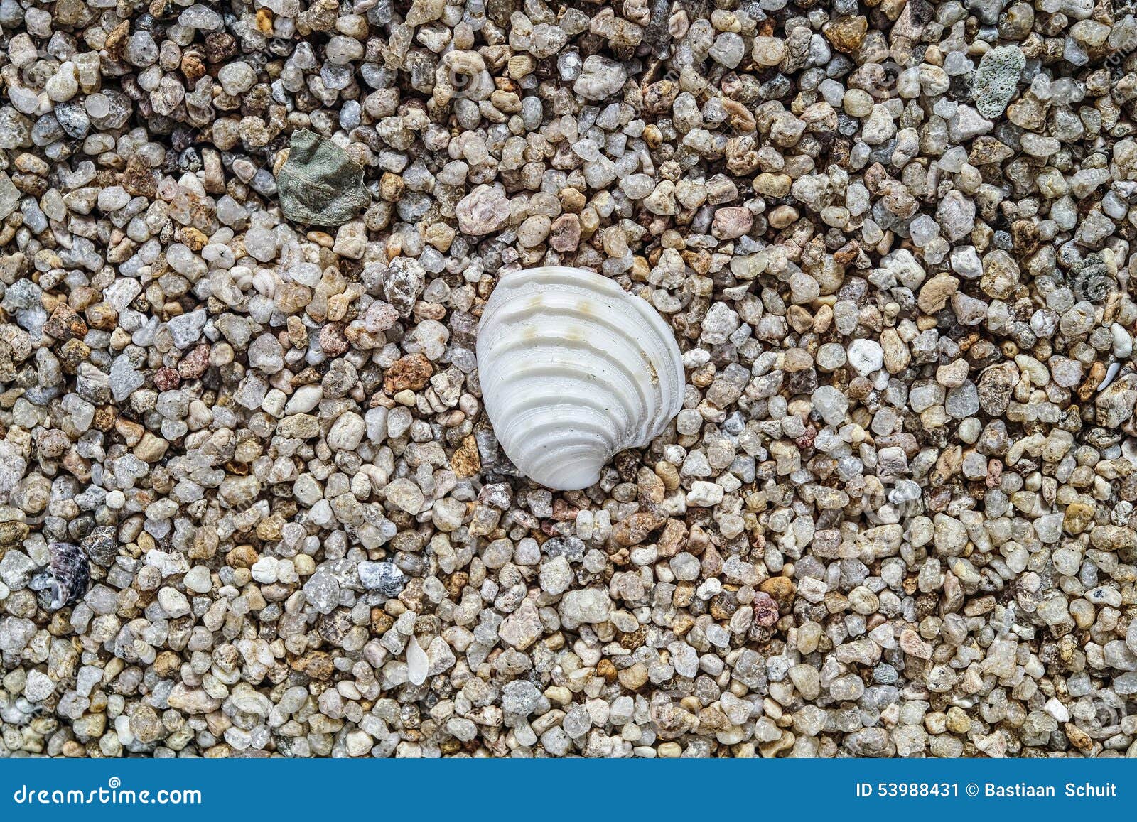 Sand and shell texture stock image. Image of rocks, sand - 53988431