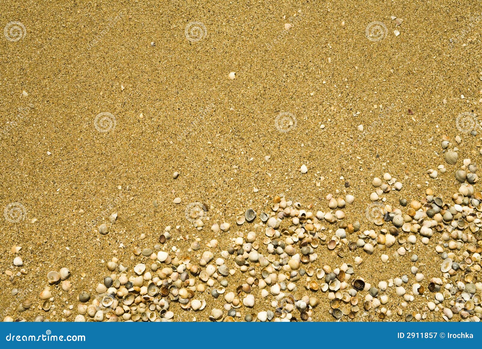 Sand and shells stock image. Image of beautiful, stones - 2911857