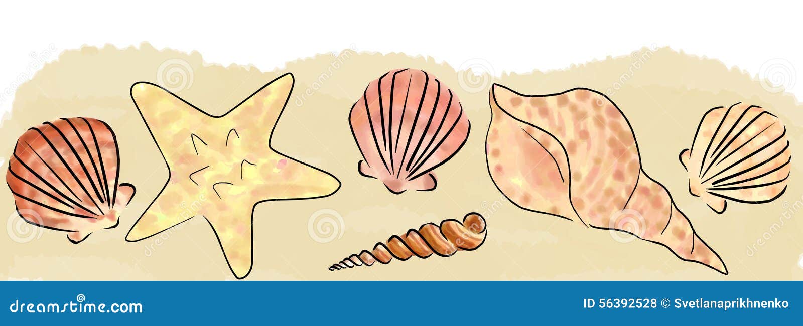 Sand and shells border stock vector. Illustration of seashell - 56392528