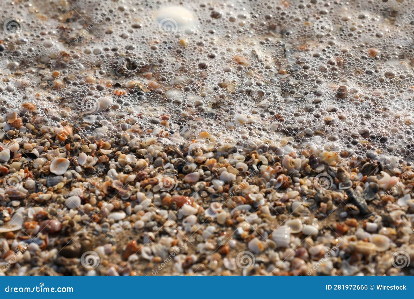 Sand and Shells Piled Together on the Beach Sand Covered with Small ...