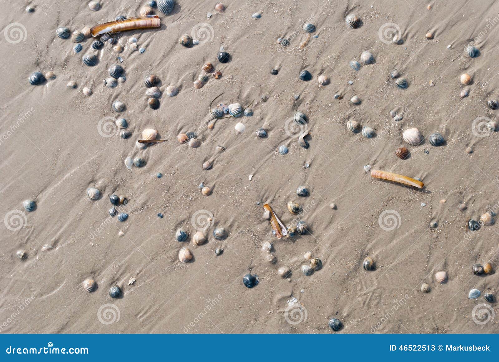Sand and shells stock image. Image of seashore, pattern - 46522513