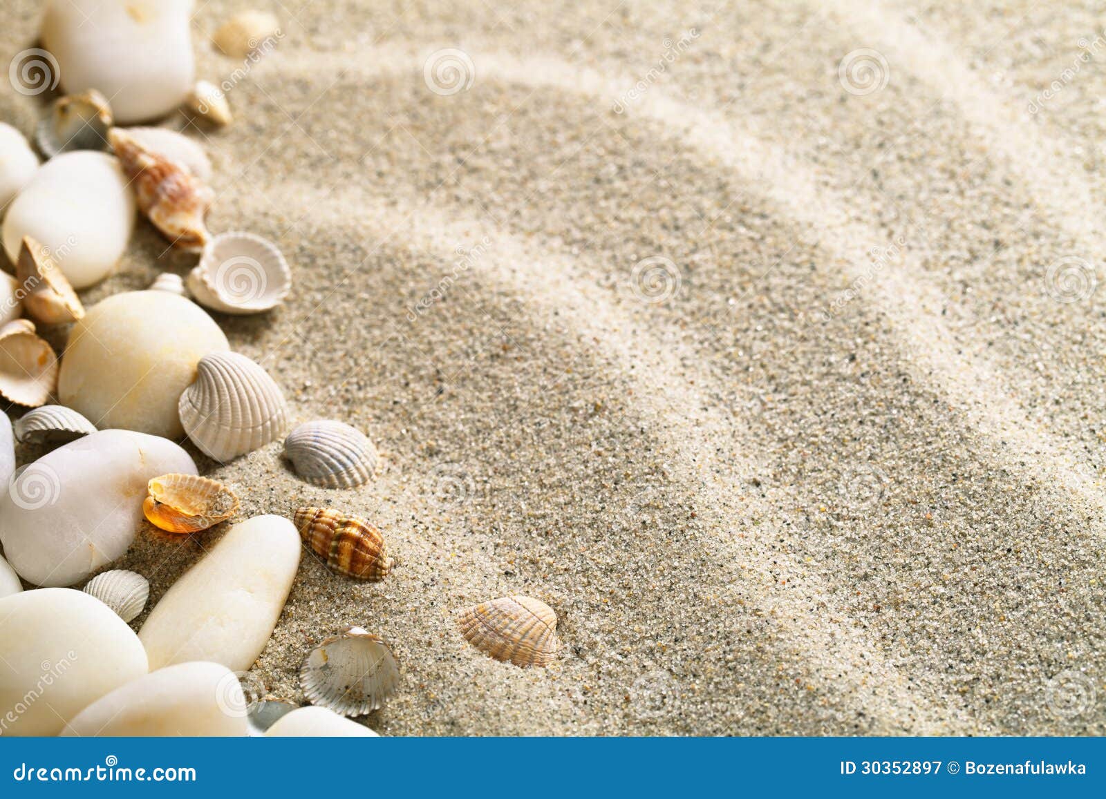 Sand and Shells stock image. Image of coast, background - 30352897