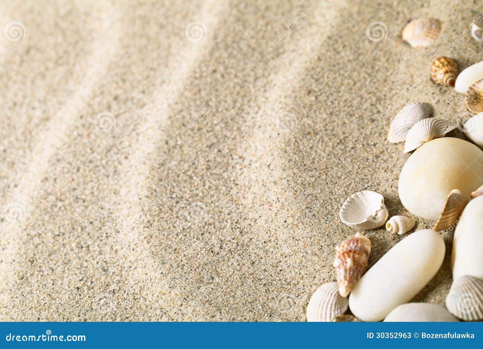 Sand and Shells stock image. Image of stone, nature, texture - 30352963