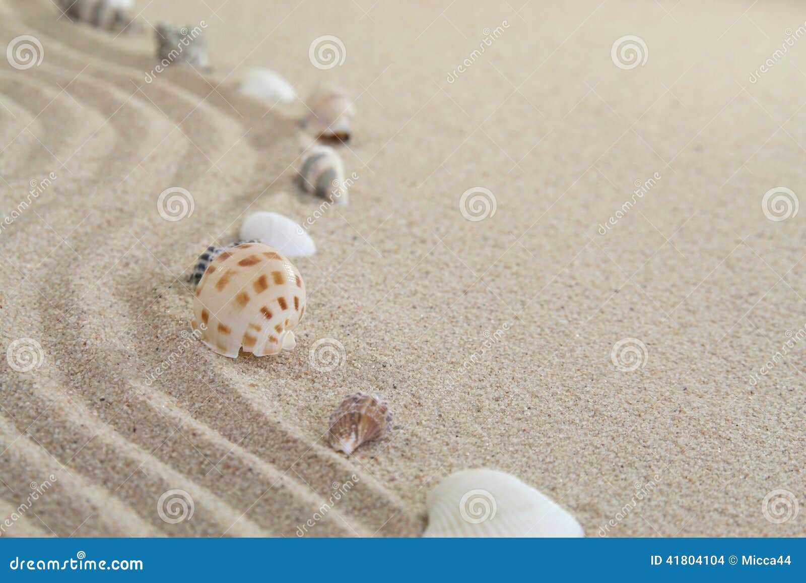 Sand and shells stock photo. Image of concept, modern - 41804104