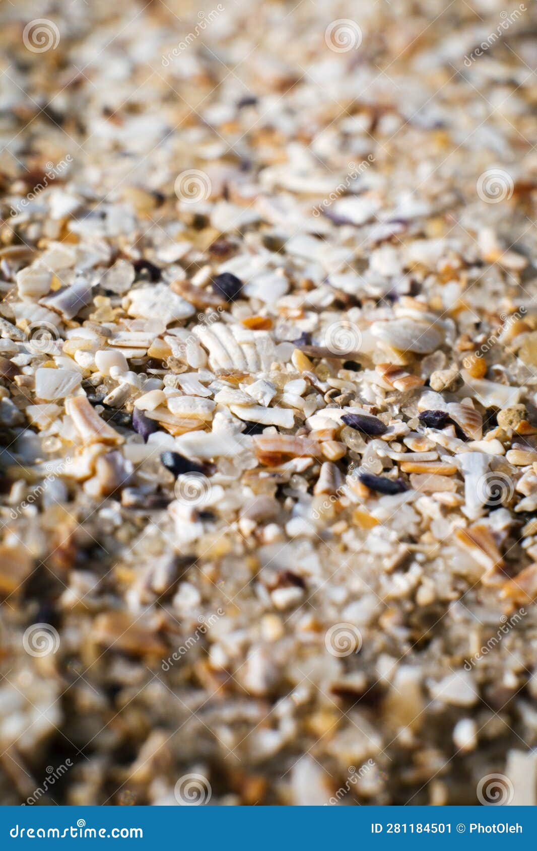 Sand and Small Particles of Shells on the Seashore Close-up Stock Image ...
