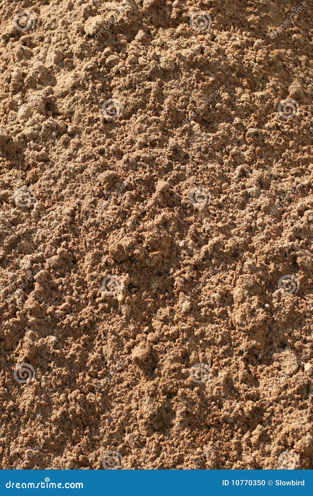 Sand soil stock photo. Image of detail, concepts, conservation - 10770350