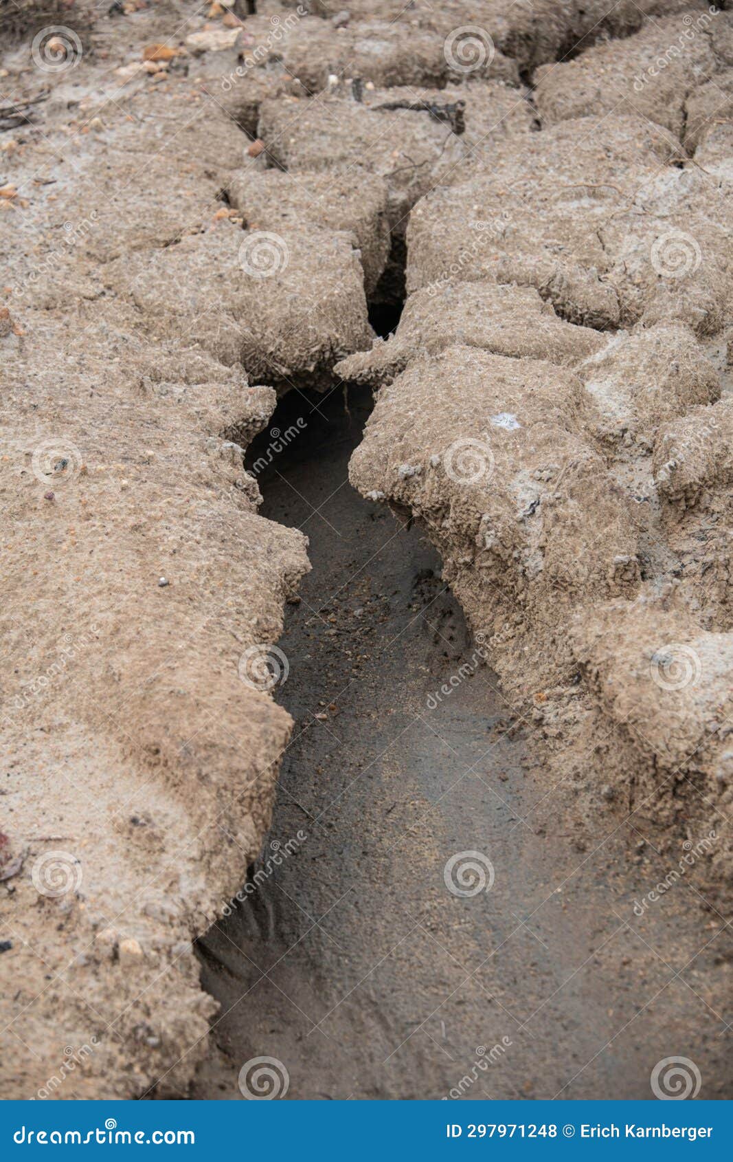 Sand Soil Washed Out after Rain Stock Illustration - Illustration of ...
