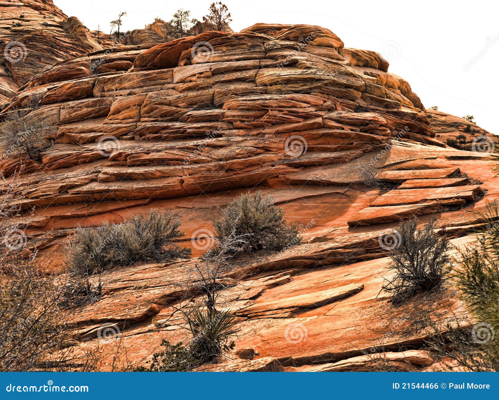 Sand Stone Cliffs stock photo. Image of sunset, arizona - 21544466