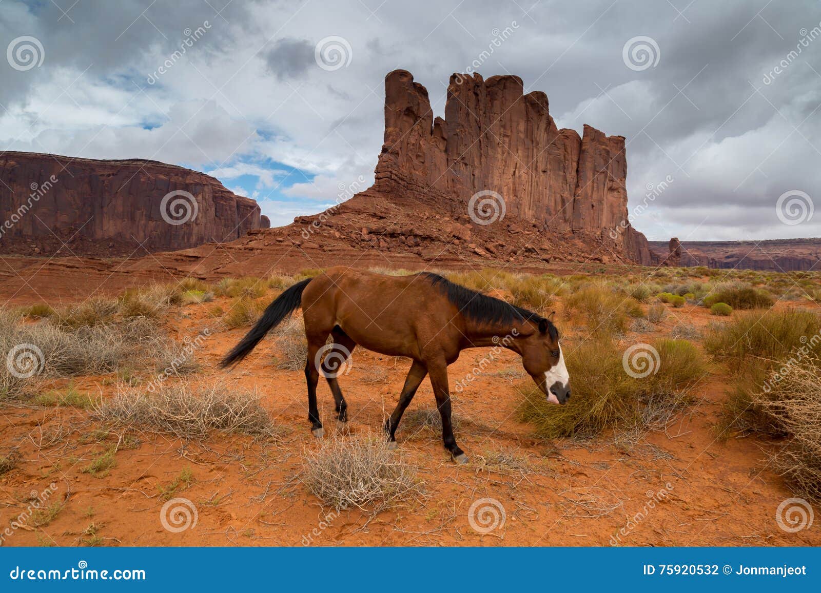 Sand Stone Monuments in Arizona Stock Photo - Image of horses, desert ...