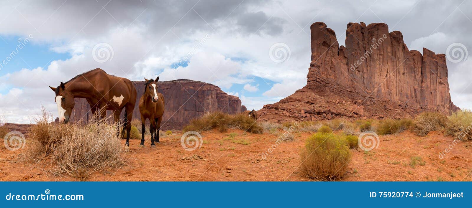 Sand Stone Monuments in Arizona Stock Photo - Image of rocks, sandstone ...