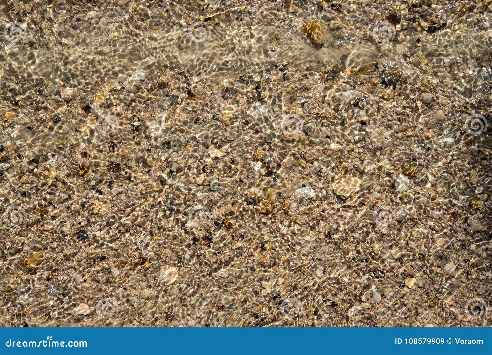 Creek bottom stock image. Image of stream, creek, clean - 108579909