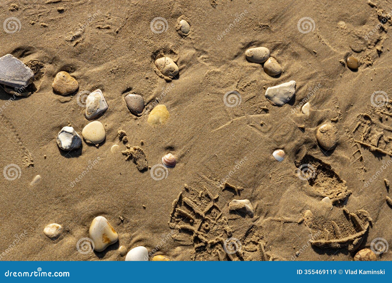 Sand, Stones and Shells on the Seashore, Top View Stock Image - Image ...