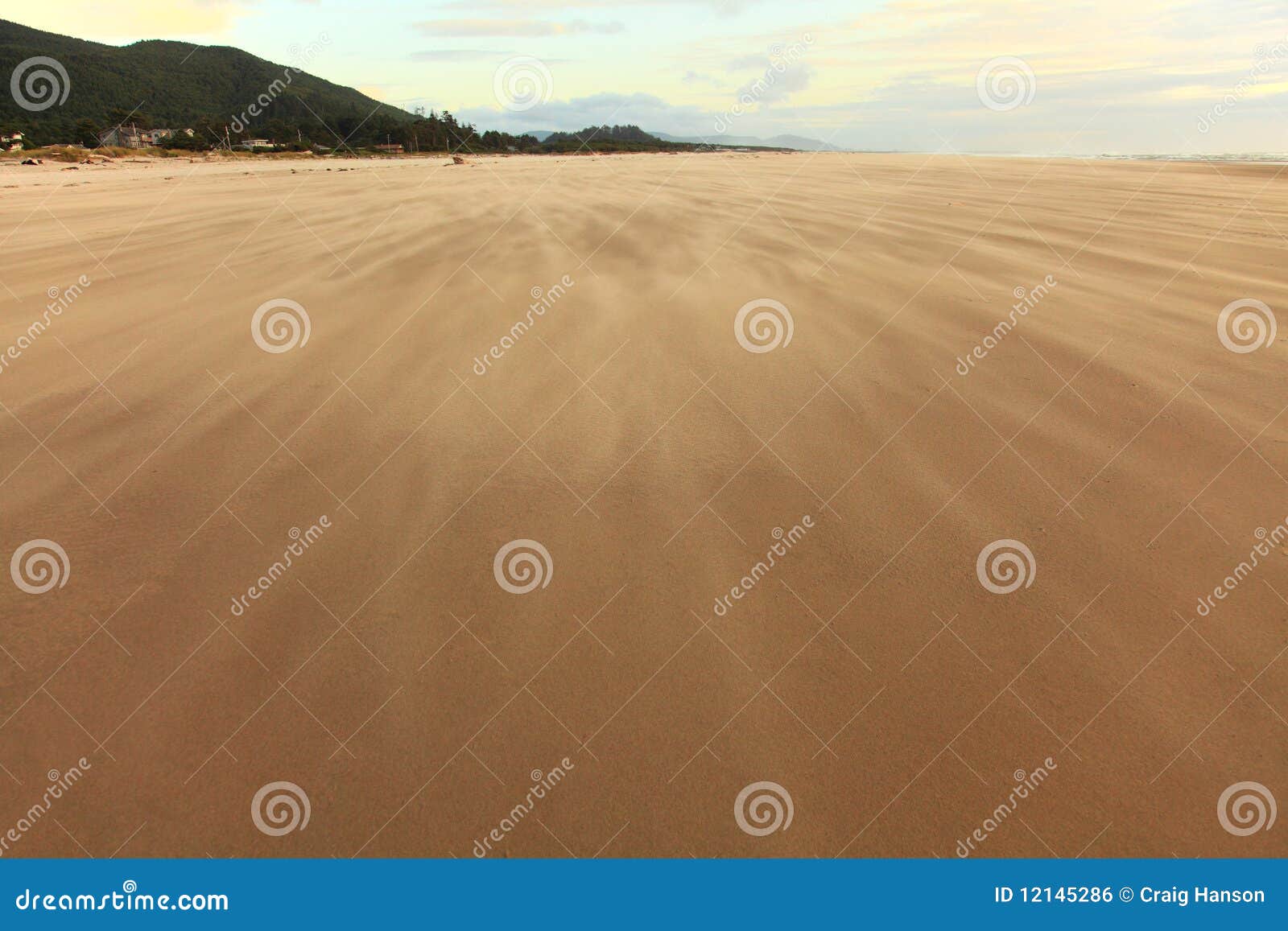 Sand Storm stock photo. Image of oregon, ocean, movement - 12145286