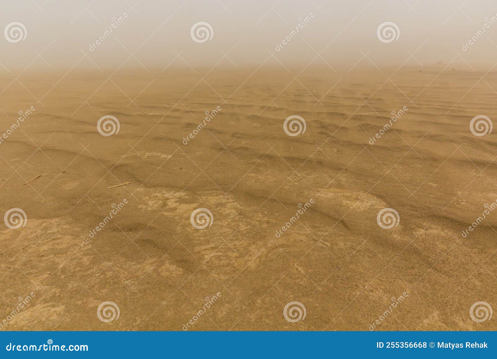 Sand Storm in Danakil Depression, Ethiopi Stock Photo - Image of wind ...