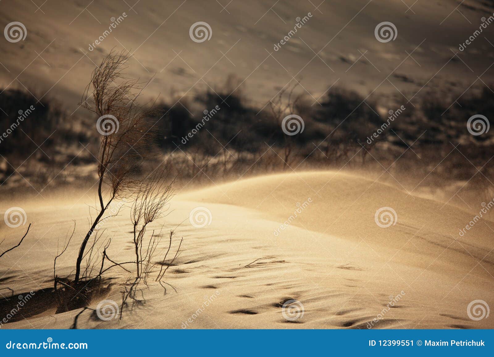 Sand storm in desert stock image. Image of nature, arid - 12399551