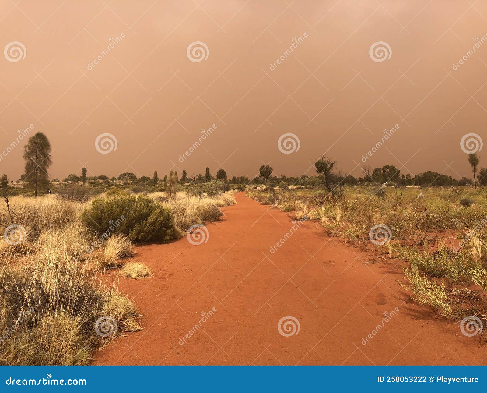 Sand Strom in Australia stock photo. Image of storm - 250053222