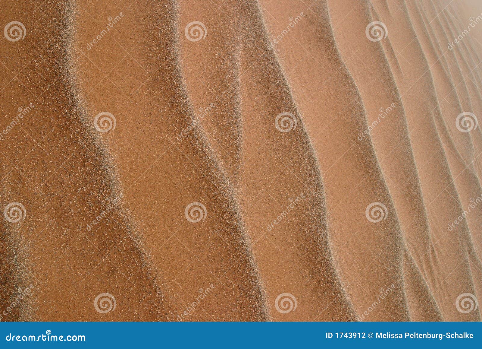Sand structure stock photo. Image of dunes, dead, deadvlei - 1743912