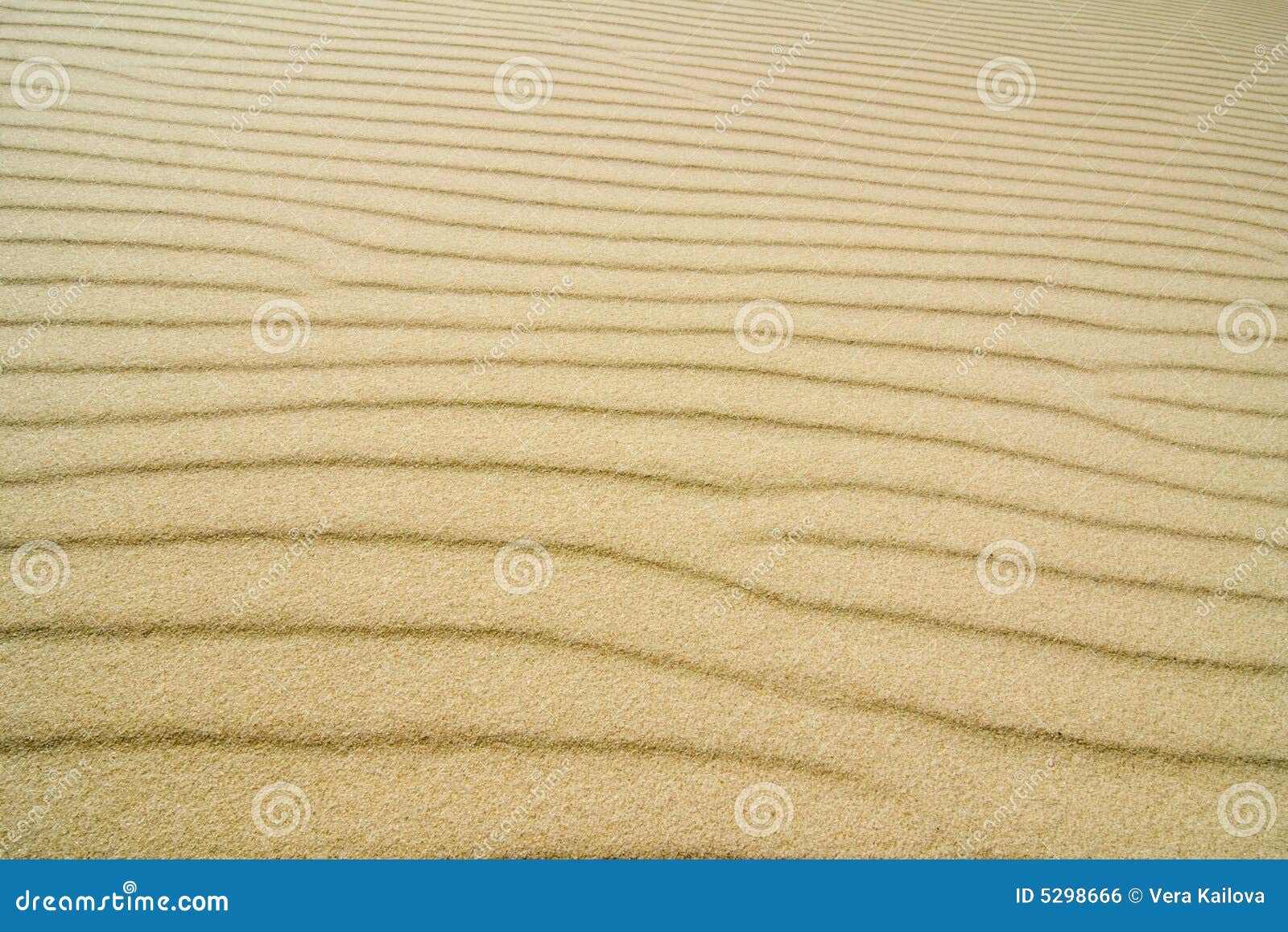 The sand structure stock photo. Image of background, golden - 5298666