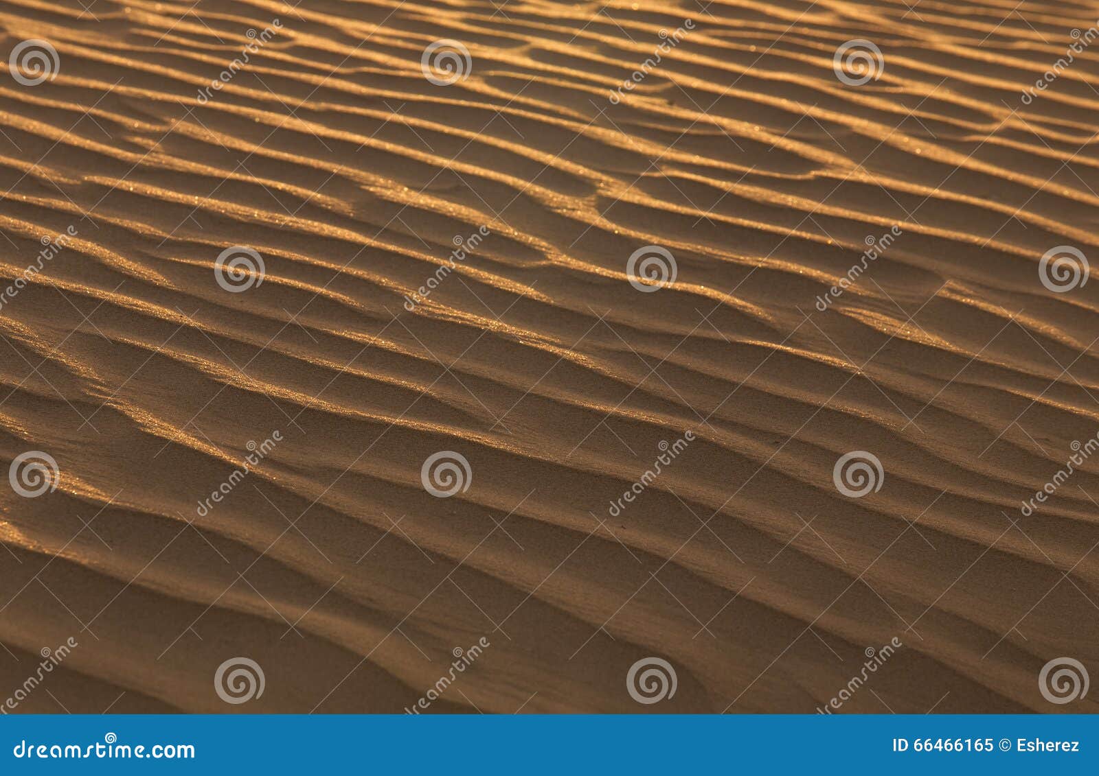 Sand Structure in the Desert Stock Image - Image of sunny, dirt: 66466165