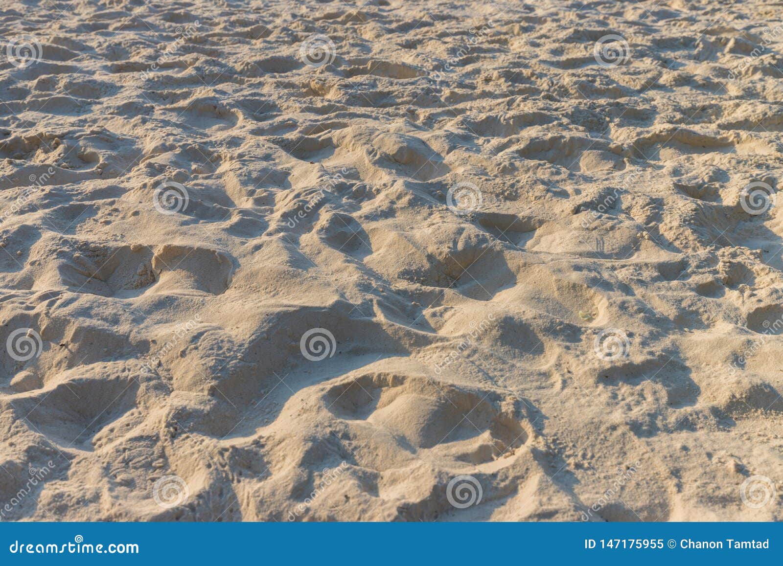 Sand Surface on the Beach, Perspective View Stock Image - Image of ...