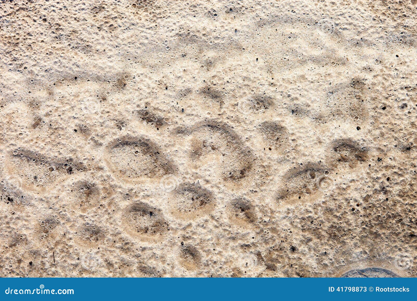 Sand Surface after the Rain Stock Image - Image of earth, brown: 41798873
