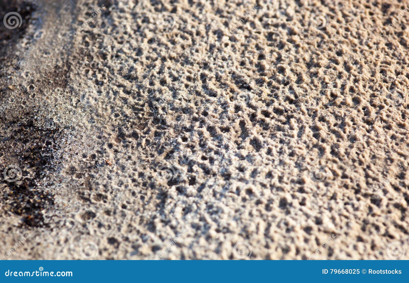 Sand Surface after the Rain Stock Image - Image of dust, drop: 79668025