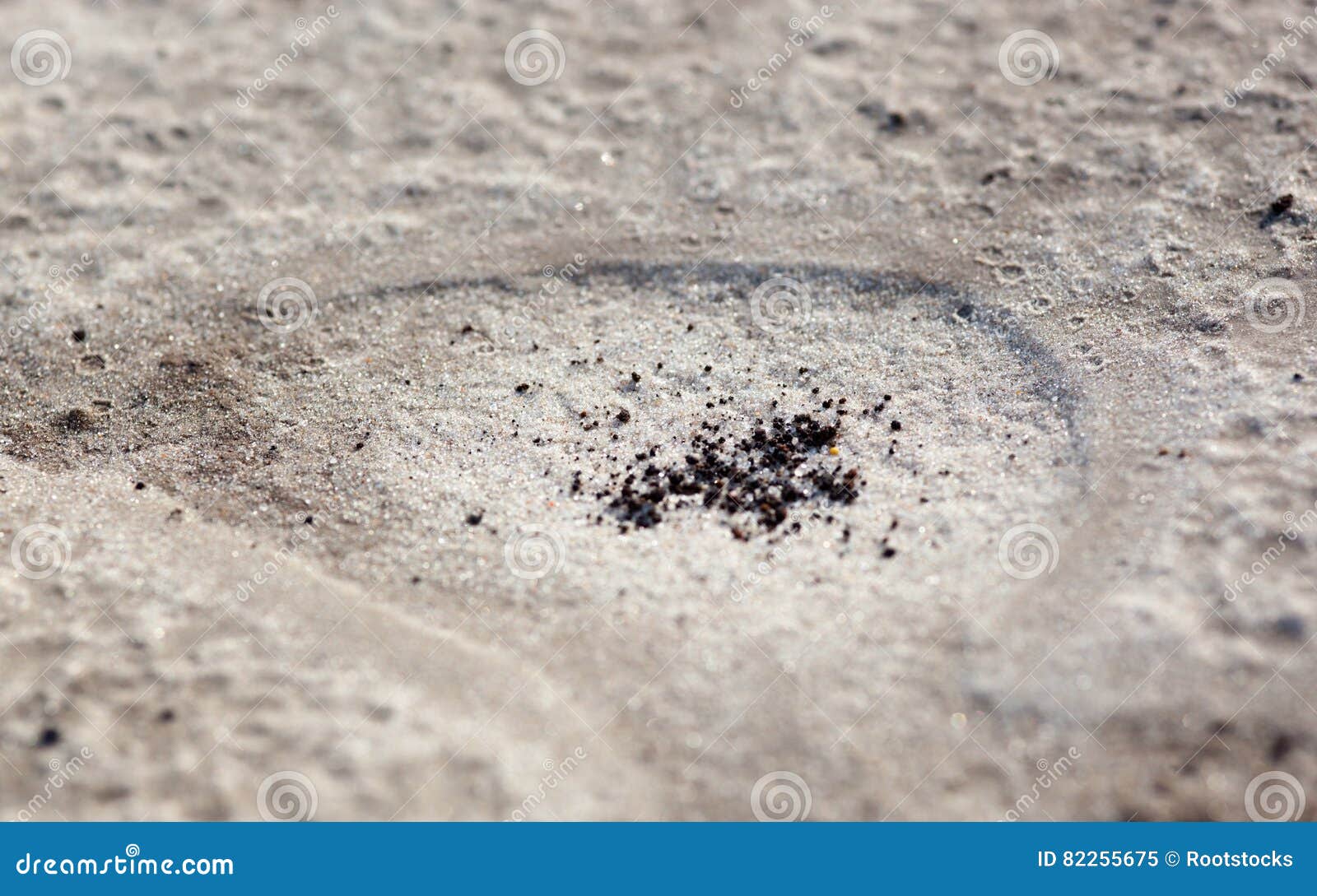 Sand Surface after the Rain Stock Image - Image of area, material: 82255675