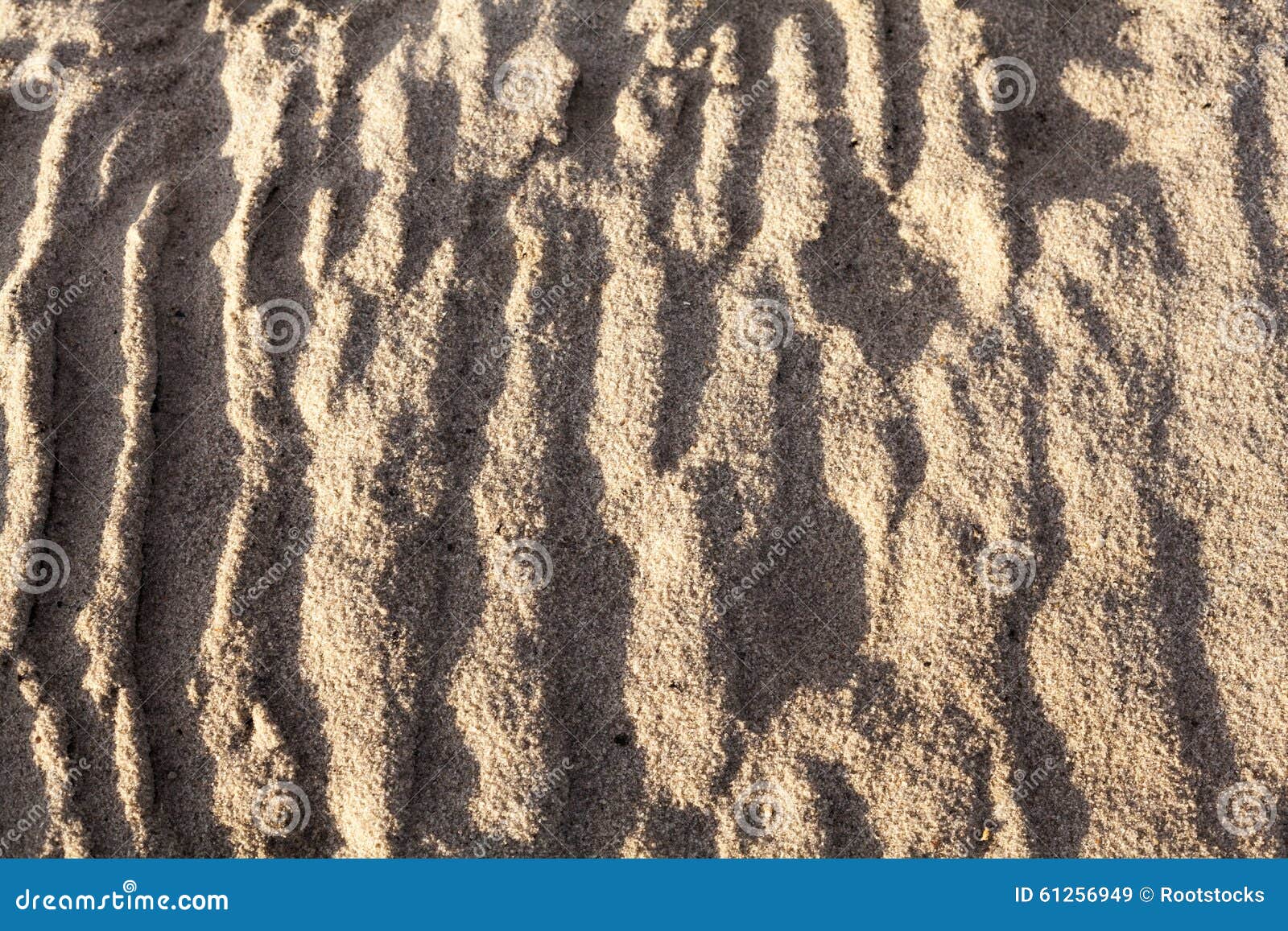 Sand Surface after the Rain Stock Image - Image of construction, groove ...